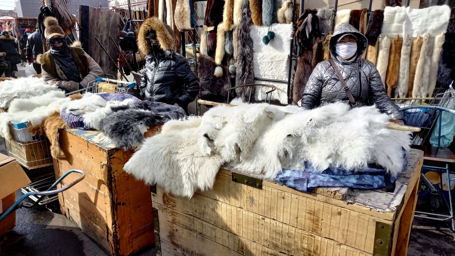 MINA – Project for cold Mongolia – Micro Business Center