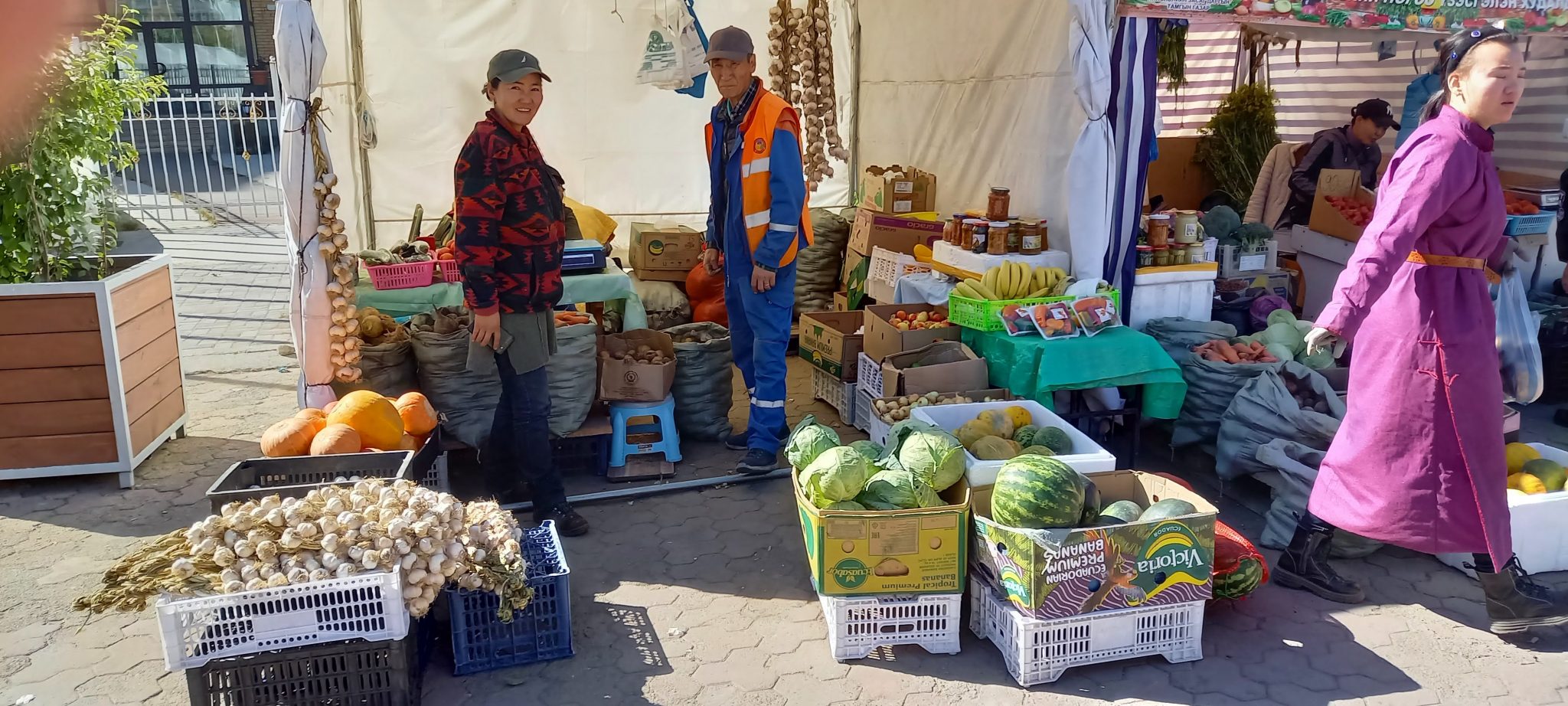 MINA in Mongolia – Micro Business Center